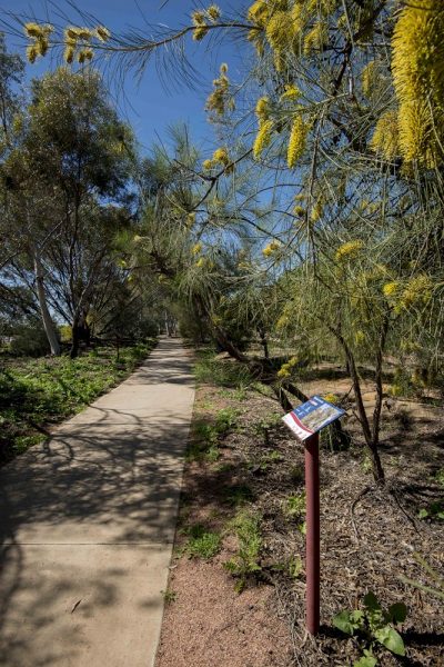 Longreach Botanic Walkway – Longreach Region Tourist Information