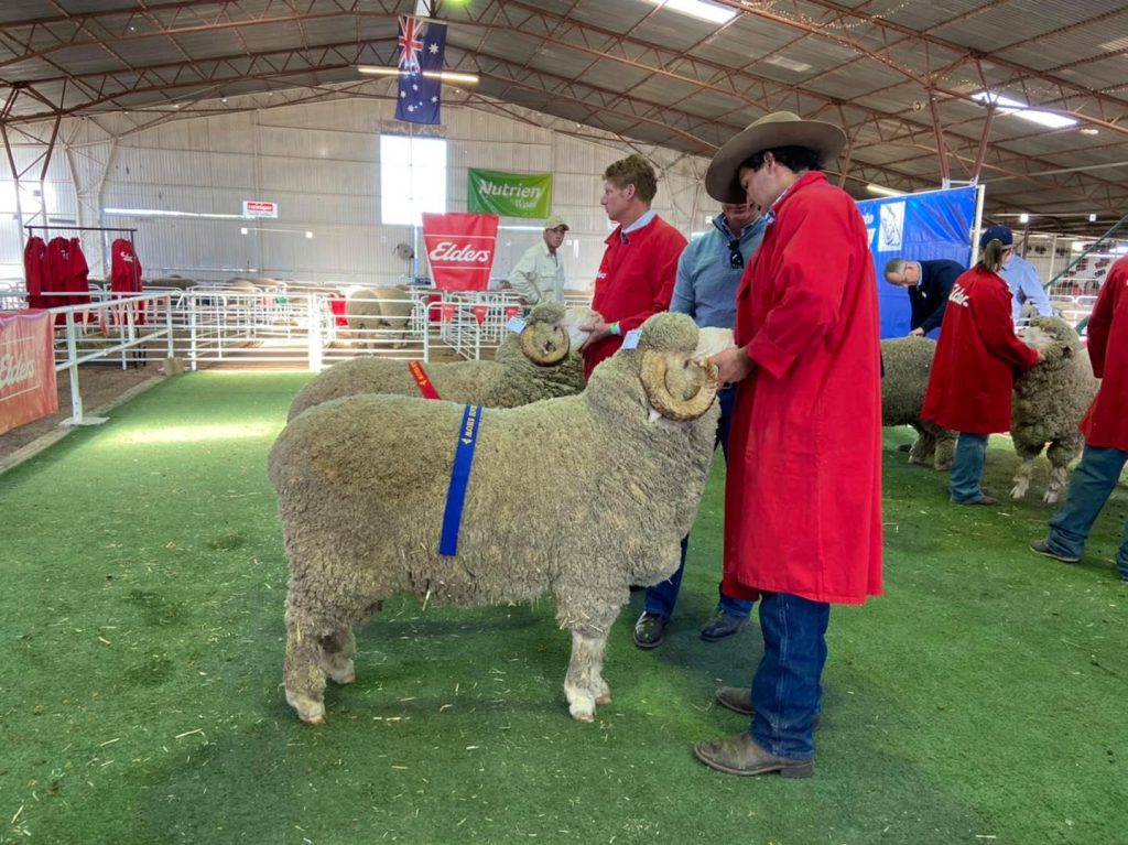 Longreach Show – Longreach Region Tourist Information